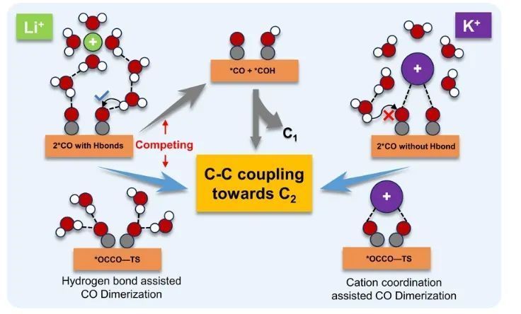 阳离子诱导界面疏水微环境，促进CO2RR中C-C耦合_提高co2还原中c-c偶联措施-CSDN博客