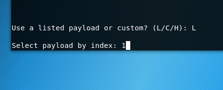 Kali Linux-使用Shellter生成远控木马并进行持久化控制_kalilinux启动中shell表示程序运行到了哪一步-CSDN博客