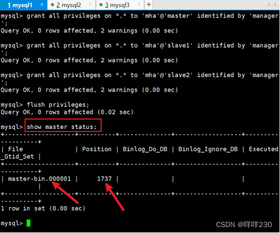 mysql之搭建MHA架构实现高可用_mysql部署mha-CSDN博客