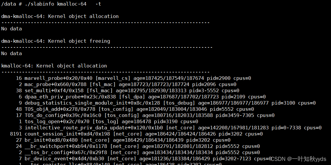 SLUB DEBUG 检测slab 内存泄漏_slab内存泄漏问题-CSDN博客