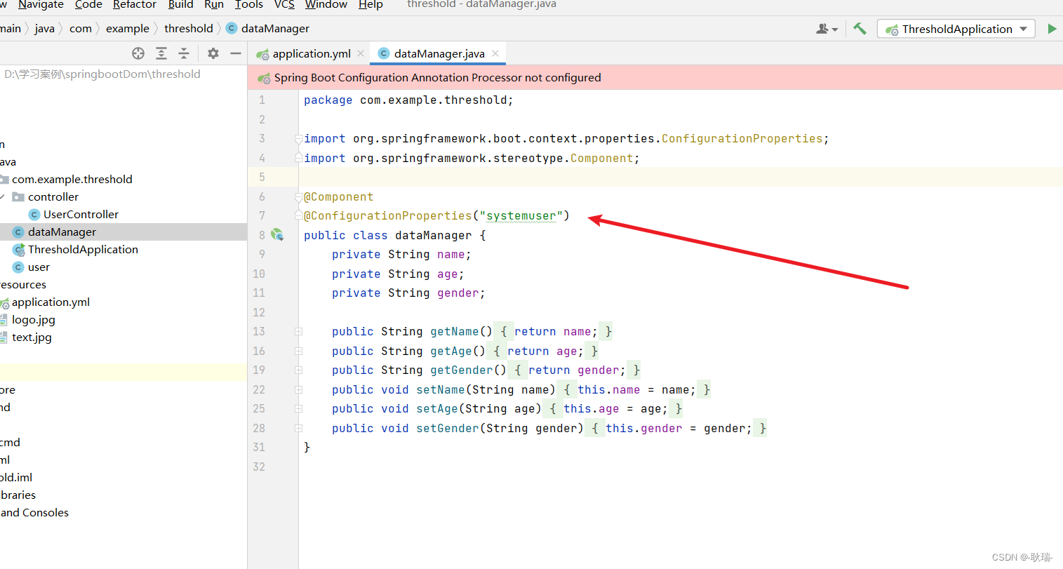 使用ConfigurationProperties报错Prefix must be in canonical form_prefix must be in canonical form数字 ...