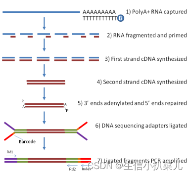 单细胞RNA-seq技术概述与应用-CSDN博客