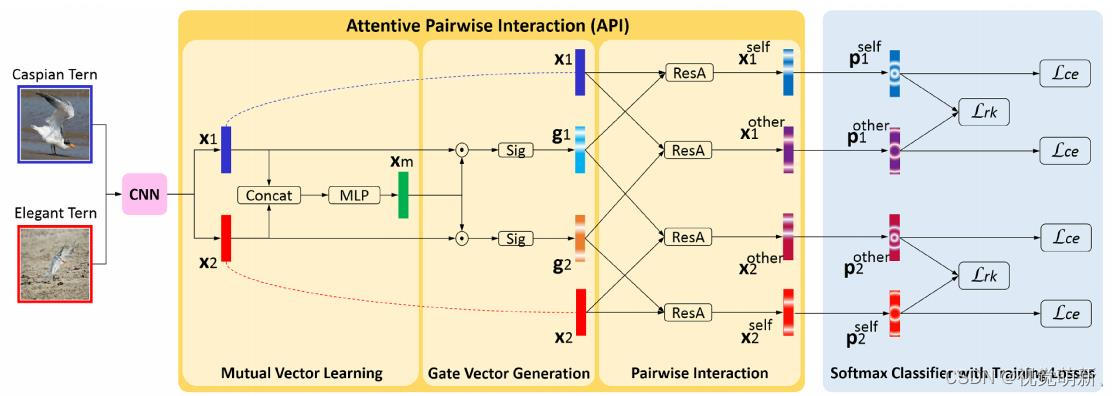 细粒度分类算法笔记汇总_pmg细粒度-CSDN博客