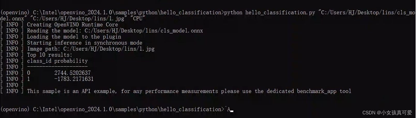 Windows系统安装openvino（2024.1.0）_windows安装openvino-CSDN博客