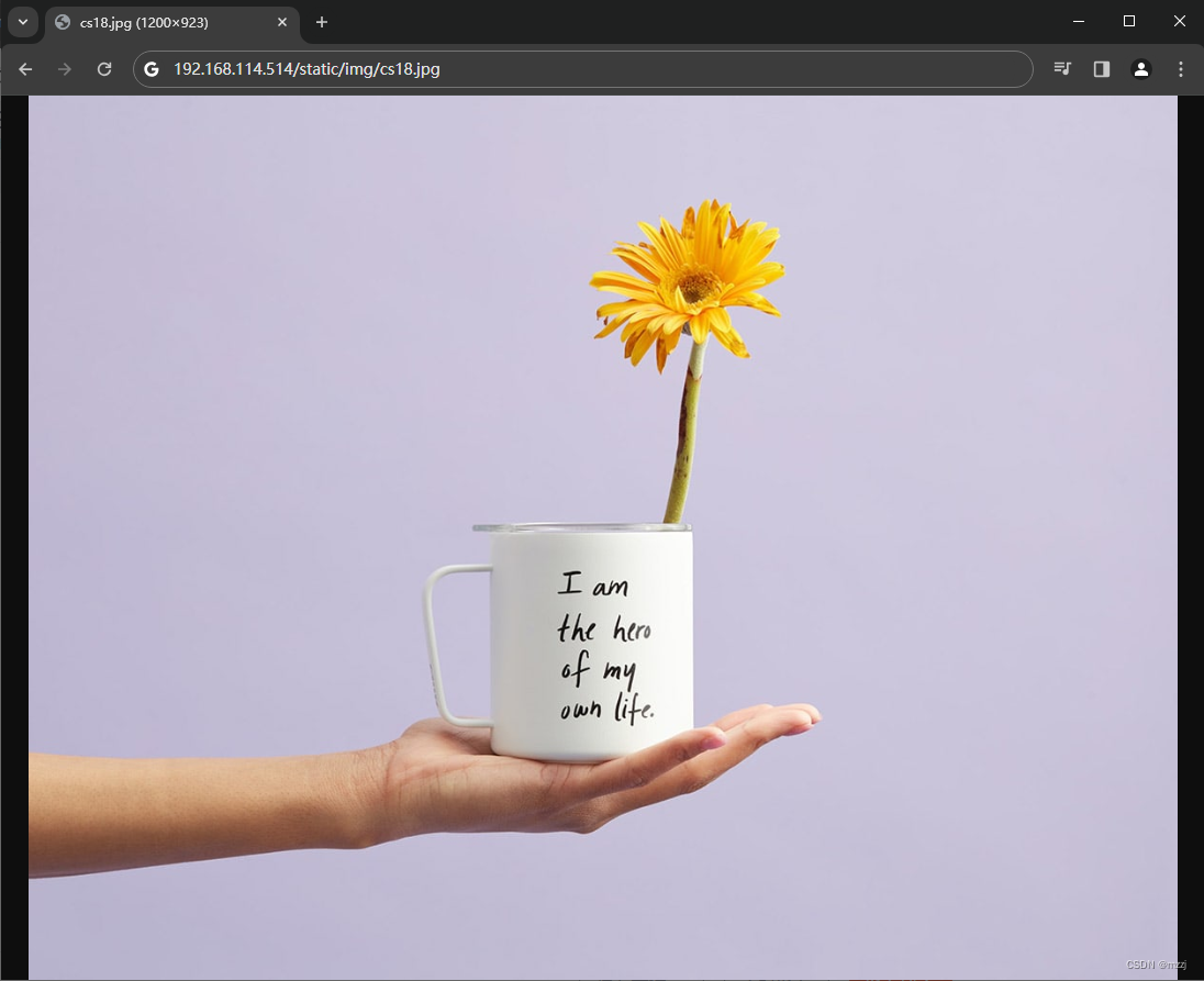 Nginx+uwsgi部署Django项目_uwsgi daemonize-CSDN博客