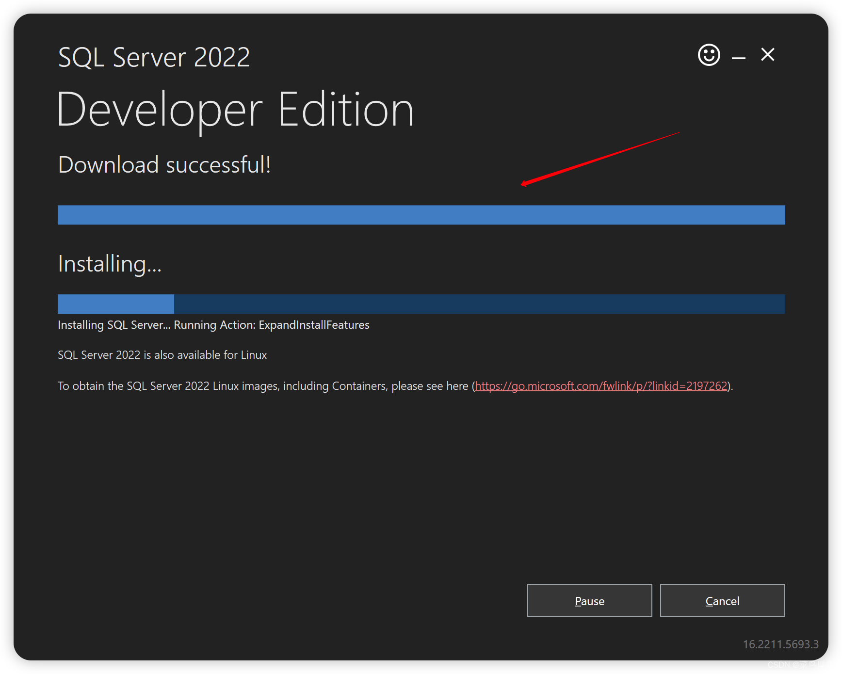 Windows 部署 SQL Server (开发者版)_sql server 开发版-CSDN博客