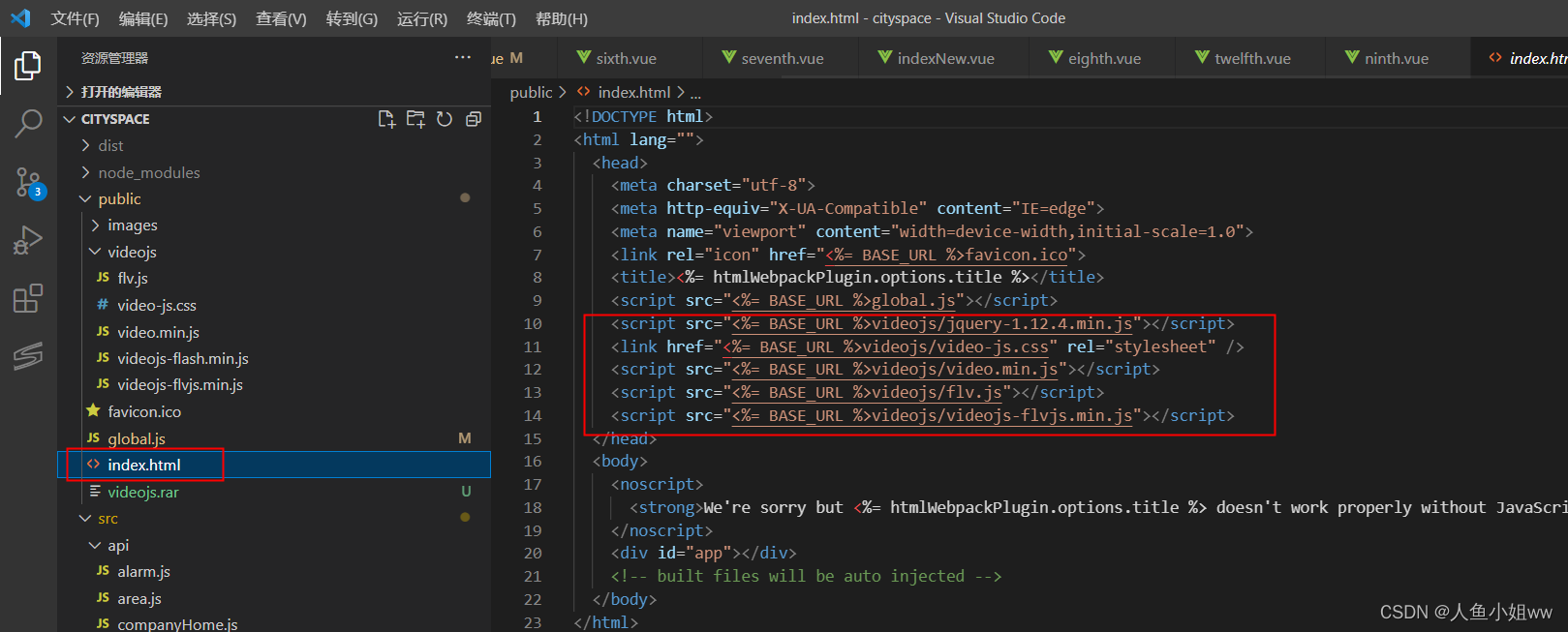 Vue2+flv-extend实现HTML5FLV视频播放-CSDN博客