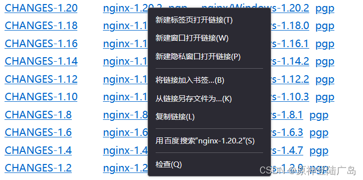 Nginx服务-CSDN博客