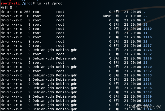Linux的proc文件系统，proc/&pid与/proc/self的学习---CTF应用_proc pid cmdline-CSDN博客