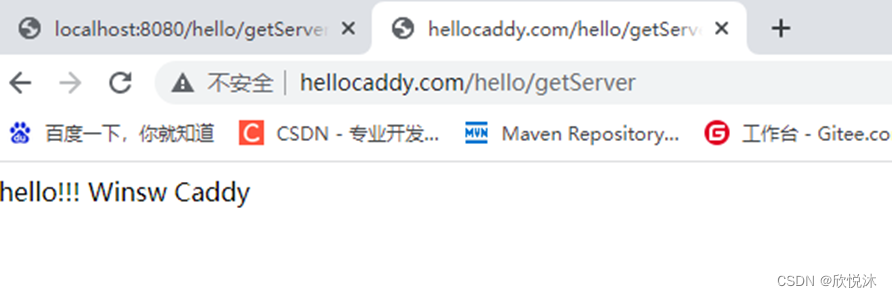 Windows服务Nssm与Caddy2反向代理_caddy windows-CSDN博客