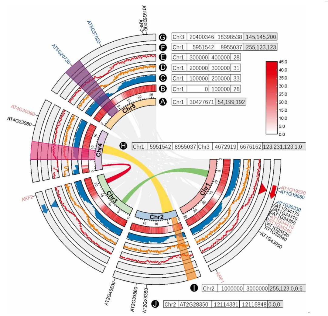 iMeta | 高被引 Circos图绘制工具TBtools-CSDN博客