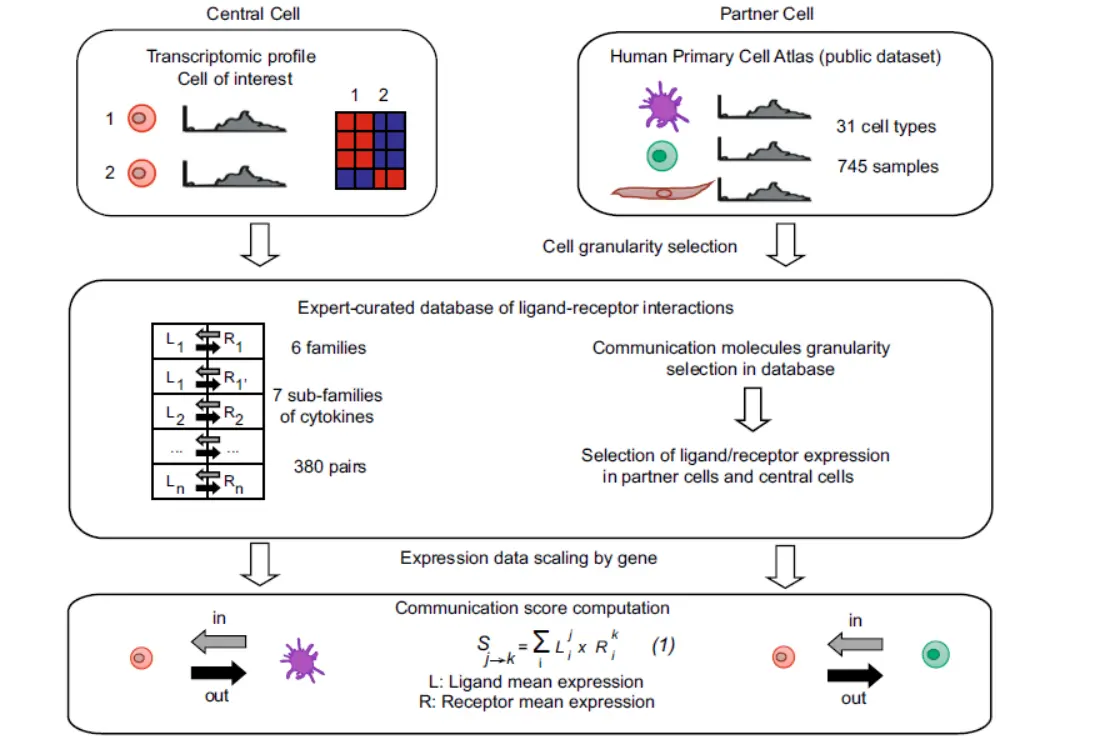 10X单细胞通讯分析之ICELLNET-CSDN博客