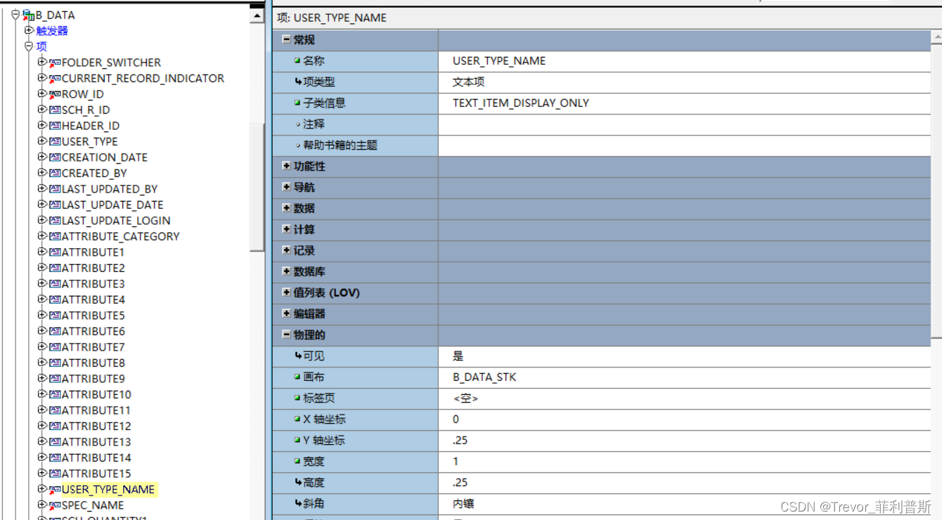 EBS Form带Folder的Tab标签页开发_ebs folder开发-CSDN博客