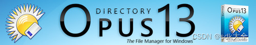 Directory Opus 13.5 Crack-CSDN博客