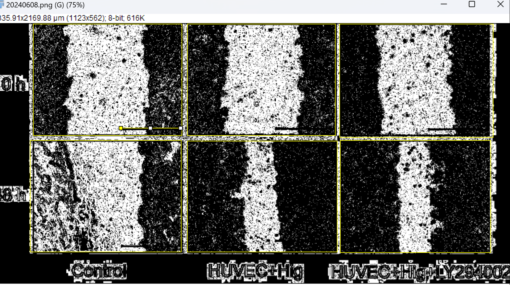 imagej操作方式_imagej加标尺怎么把数字放在横线上方-CSDN博客