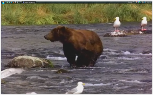 等待，如何再次打开DreamScene？-CSDN博客