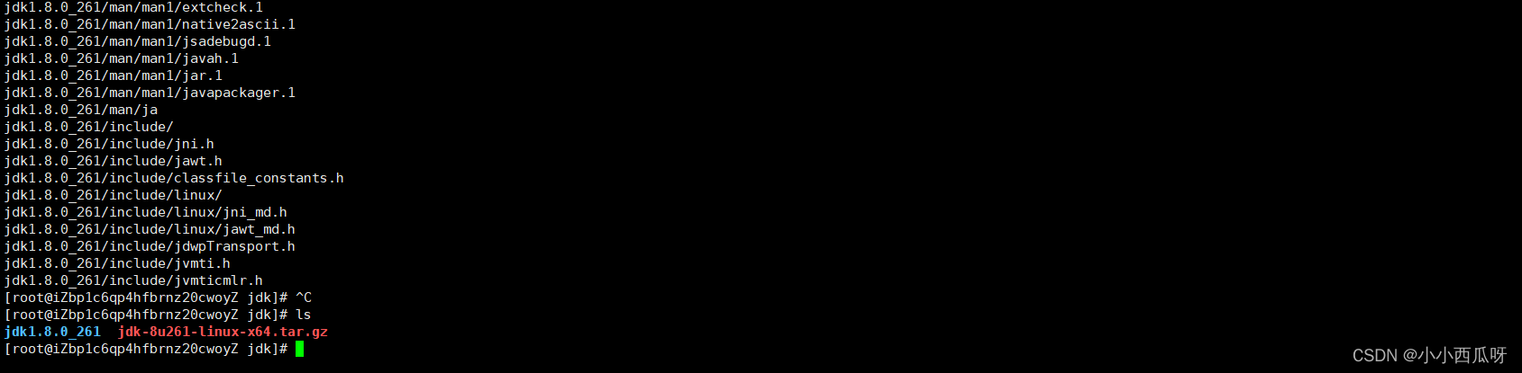 Linux下搭建JavaEE环境_linux 没有javaee-CSDN博客