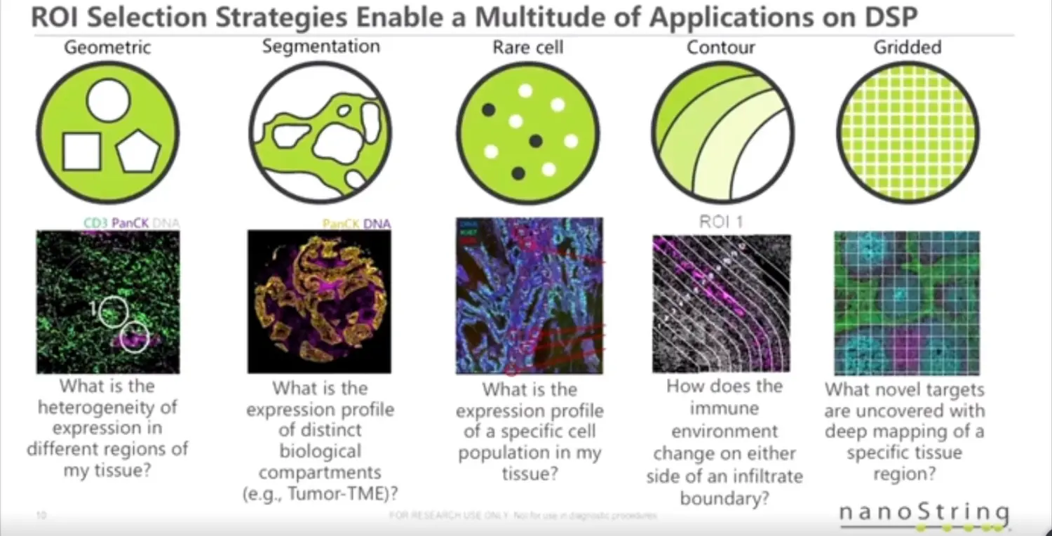 空间转录组检测靶点定量技术----Digital Spatial Profiler（DSP）_dsp空间转录组-CSDN博客