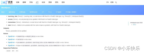 mindspore不支持Ascend与SGD的问题_mindspore sgd-CSDN博客
