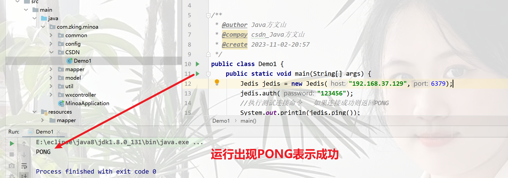 【redis】使用java操作redisredis Hash Java Csdn博客