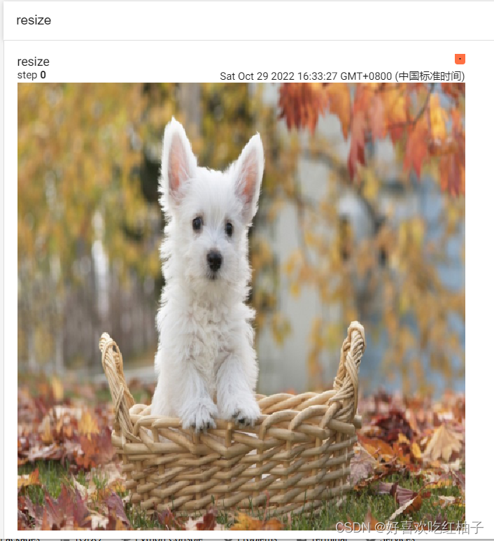 pytorch初学笔记（四）：常见的Transforms使用（ToTensor、Normalize、Resize、Compose、RandomCrop）-CSDN博客