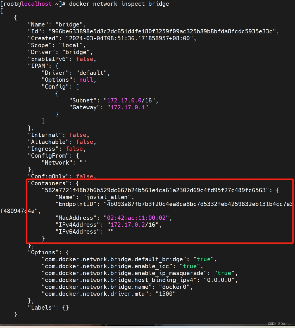 Docker网络配置_docker run --net-CSDN博客