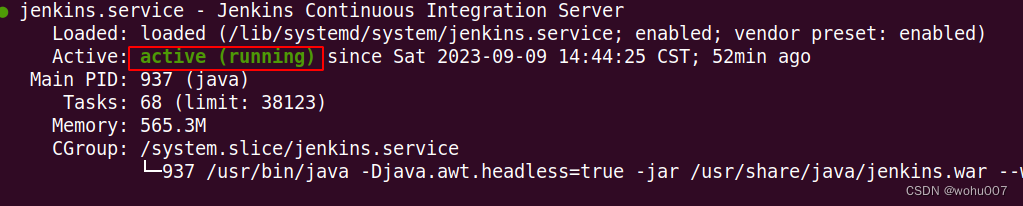 Ubuntu 20/22 安装 Jenkins_ubuntu20 安装 jenkins-CSDN博客