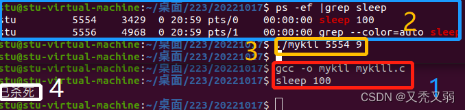 Linux信号处理与kill命令详解-CSDN博客