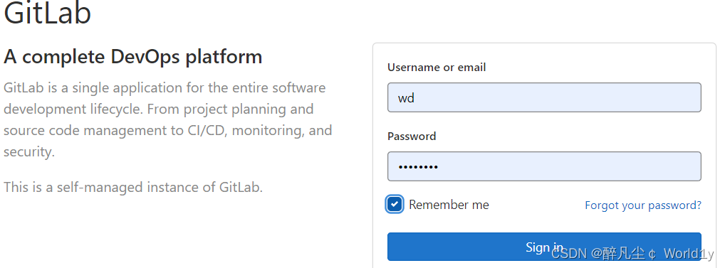 Gitlab 仓库搭建（详细版）-CSDN博客