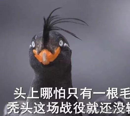 AES白盒加密解读与实现（Chow方案）_白盒aes-CSDN博客