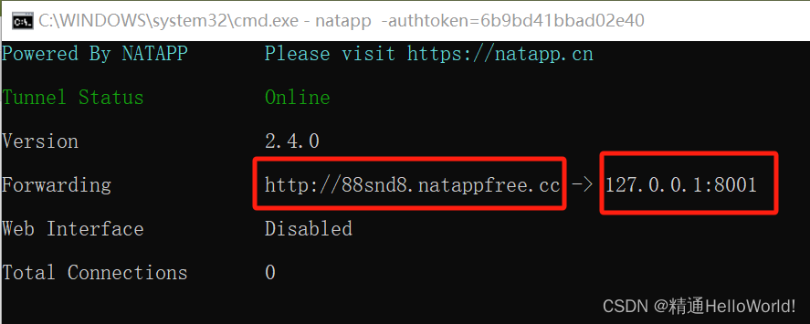 内网穿透natapp基础用法-CSDN博客
