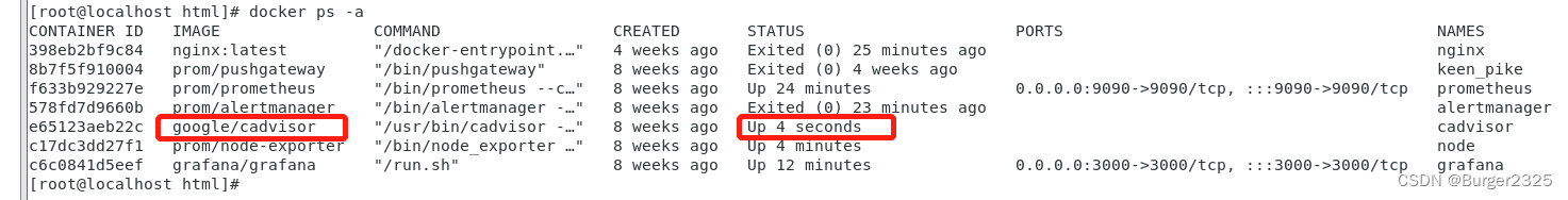 Docker安装并配置cAdvisor_docker安装cadvisor-CSDN博客