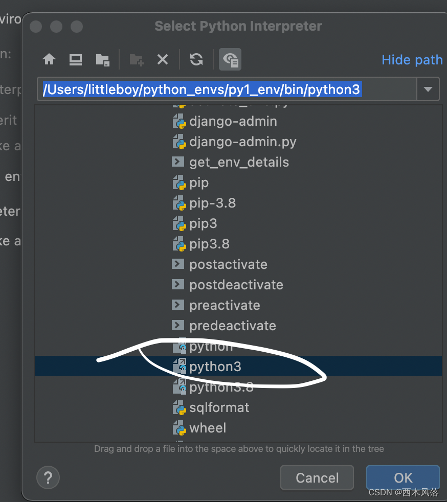 Python django开发_python 开发 django-CSDN博客