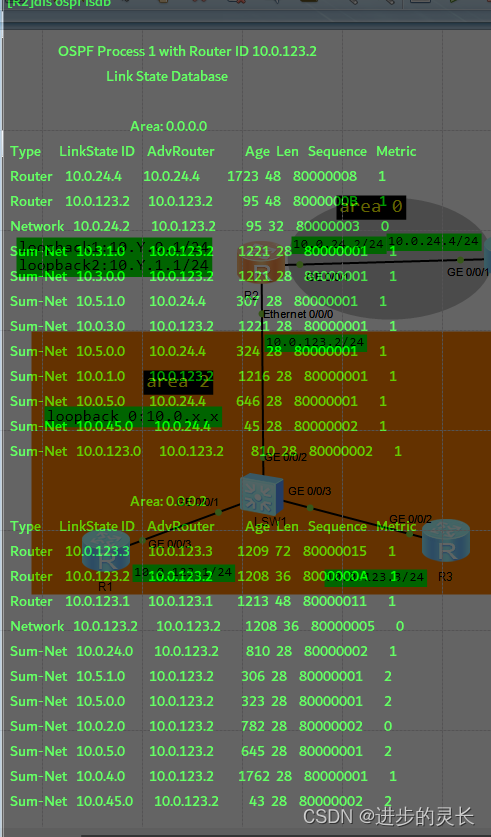 使用华为模拟器eNSP完成ospf配置实验_华为loopback-CSDN博客
