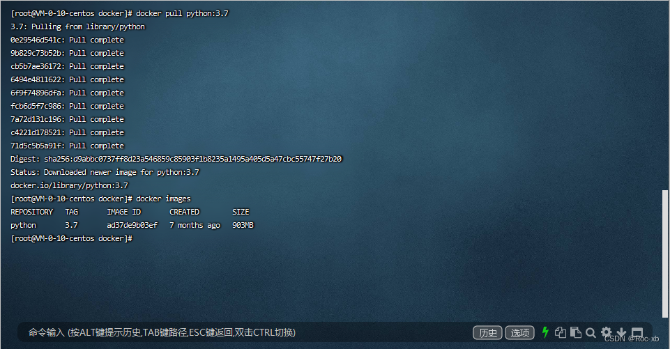 Docker安装Python3教程_docker 安装python3-CSDN博客