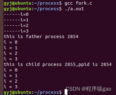【Linux篇】fork函数-CSDN博客