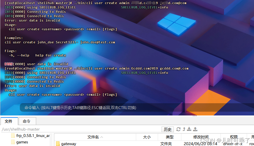 使用ShellHub搭建集中式SSH-CSDN博客