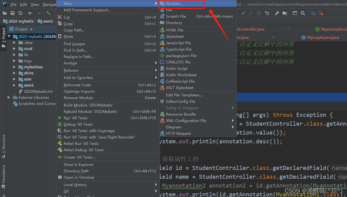 Springboot入门_springboot -CSDN博客