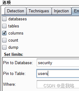 sql注入 BurpSuite与sqlmap联动，sqlmap友好图形化界面解决办法 CO2(sqlmap插件) 使用_burpsqlmap插件-CSDN博客