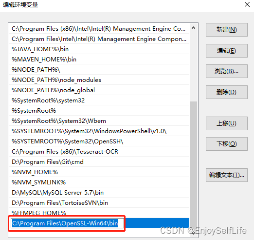 Nginx开启Https访问，OpenSSL生成https证书（Windows）_openssl windows-CSDN博客