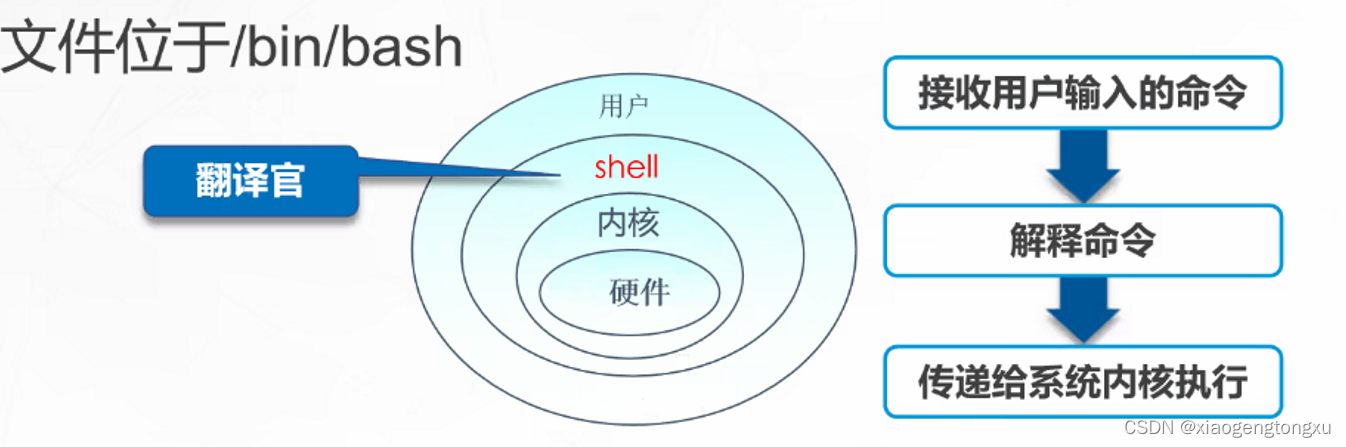 Linux基础：理解shell、操作命令与系统交互-CSDN博客