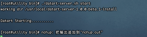 datart 安装部署文档（精简版）_datart官方文档-CSDN博客