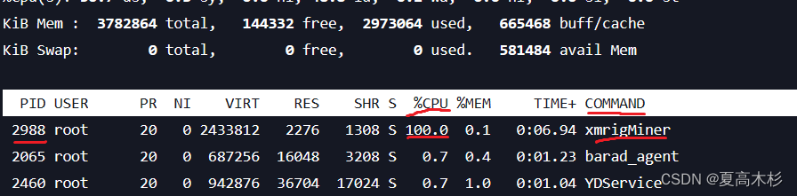 菜鸟的linux云服务器第一次木马入侵处理记录（名为xmrigMiner的木马）_xmrig miner-CSDN博客