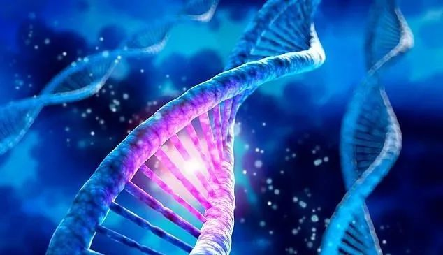 用 Python 从 GFF3 格式文件中查找注释信息-CSDN博客