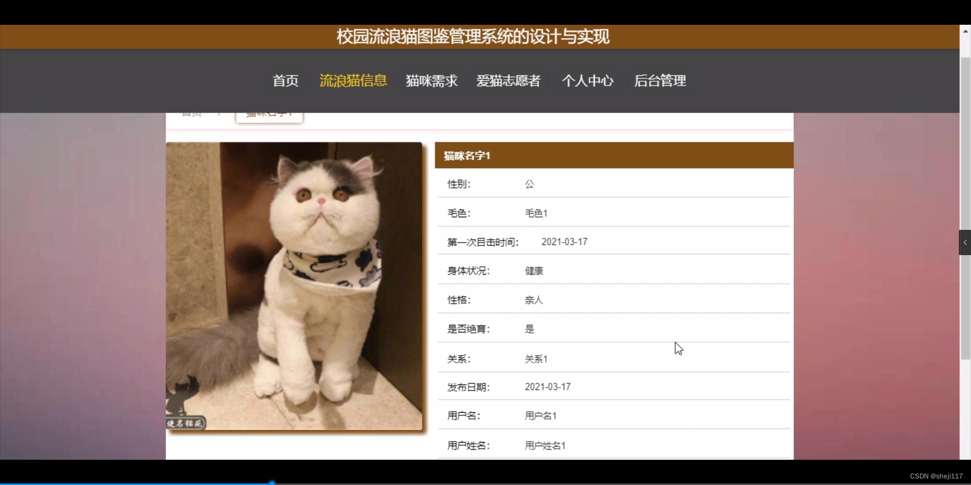 【附源码】计算机毕业设计java校园流浪猫图鉴管理系统的设计与实现基于javaweb的校园流浪猫图鉴管理系统的毕业设计 Csdn博客