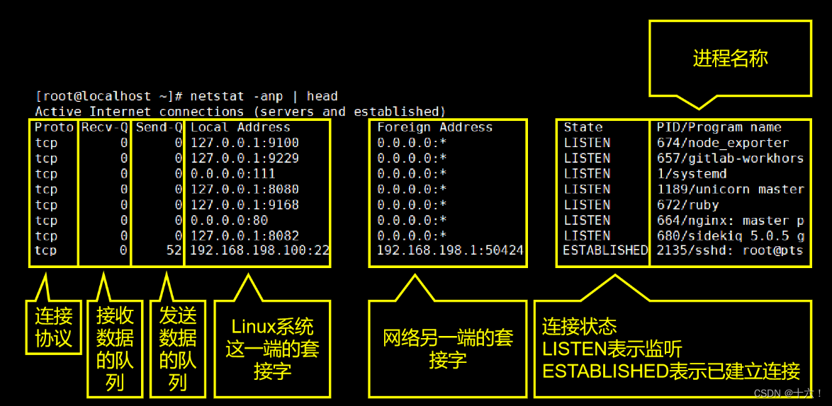 Linux系统监控：ps、kill、top与netstat命令详解-CSDN博客
