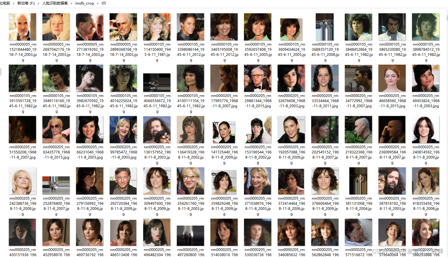 基于openKylin与RISC-V的MindSpore AI项目实践_kylin 安装mindspore-CSDN博客