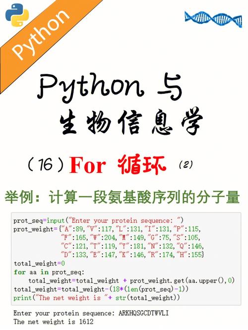 学了python的心得体会200字初学python的感悟500字python课程设计总结300字 Csdn博客