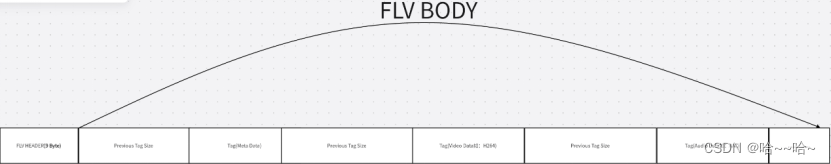 FLV格式讲解_flv格式详解-CSDN博客