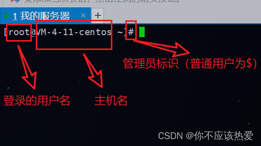 Linux常用命令_linux shell shift+insert-CSDN博客